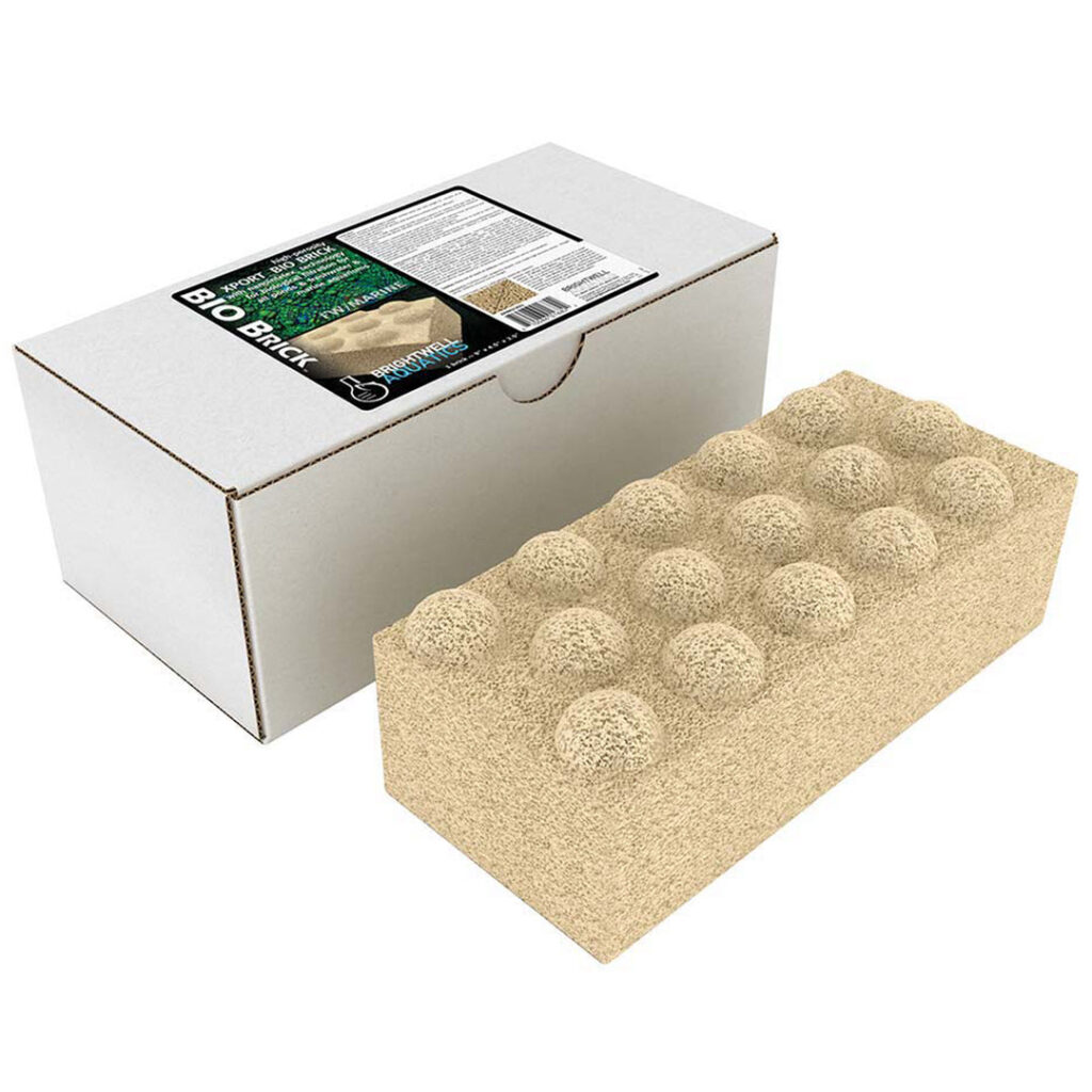 Export bio brick - Chroma Aquatics