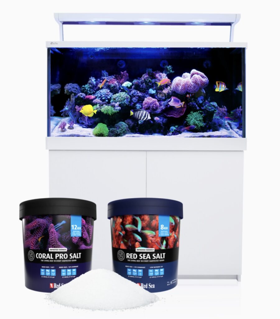 Red Sea Coral Pro Salt 22 Kg - Chroma Aquatics